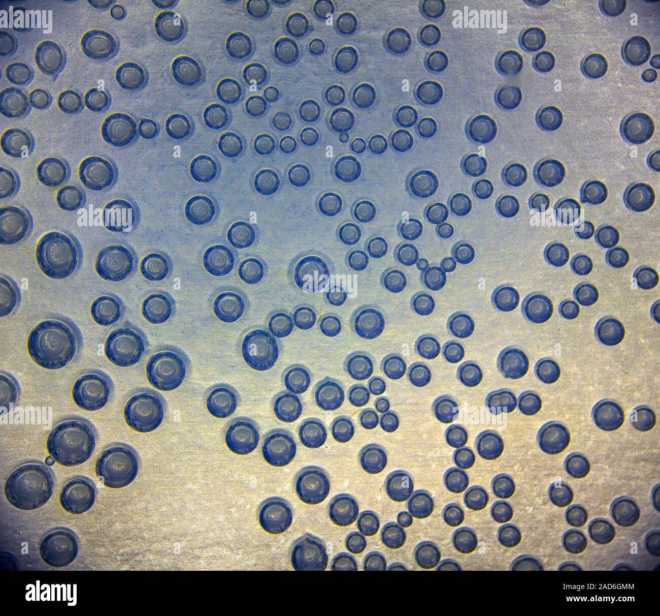 Harmonic backgrounds. Air bubbles in water (bleb) on bright, smooth ...
