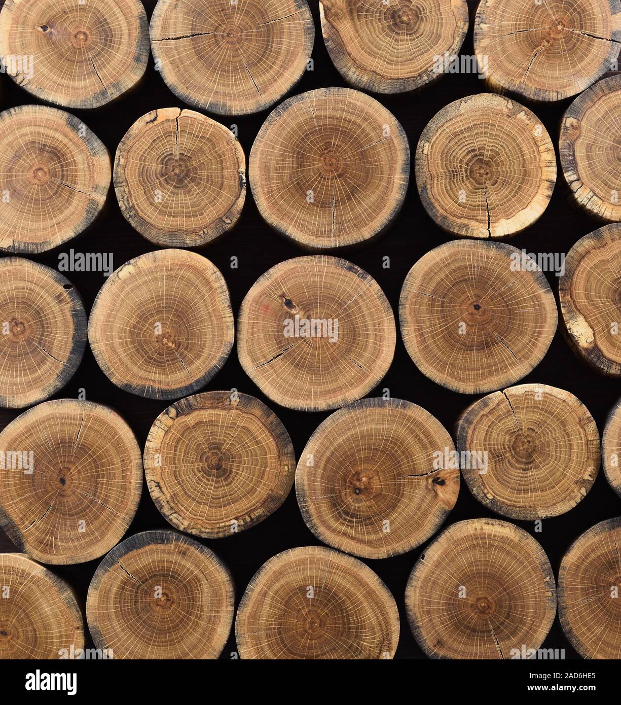 Wood slabs with annual rings and cracks on black background texture top ...