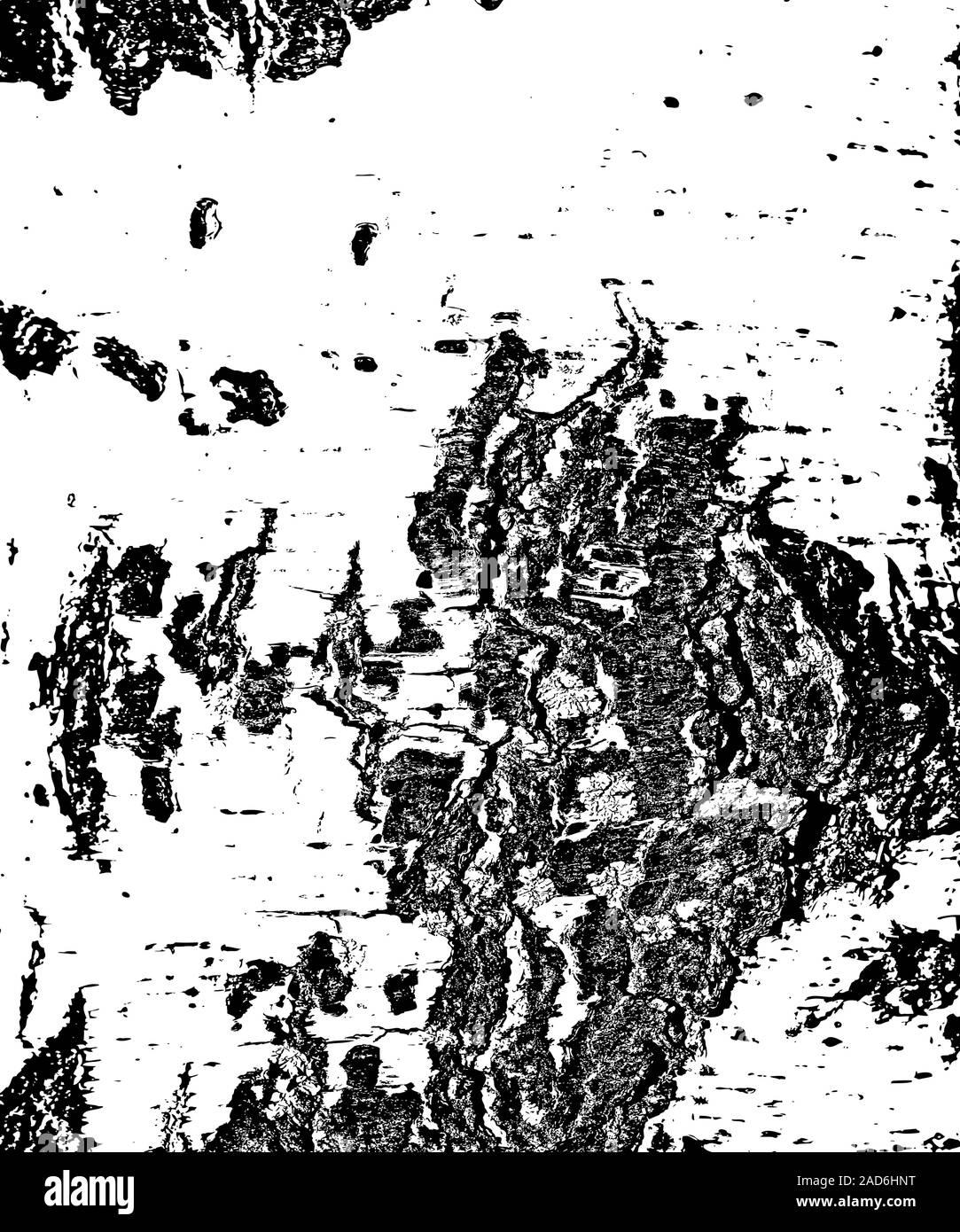 Bark of birch in the cracks texture. Vector illustration Stock Vector ...