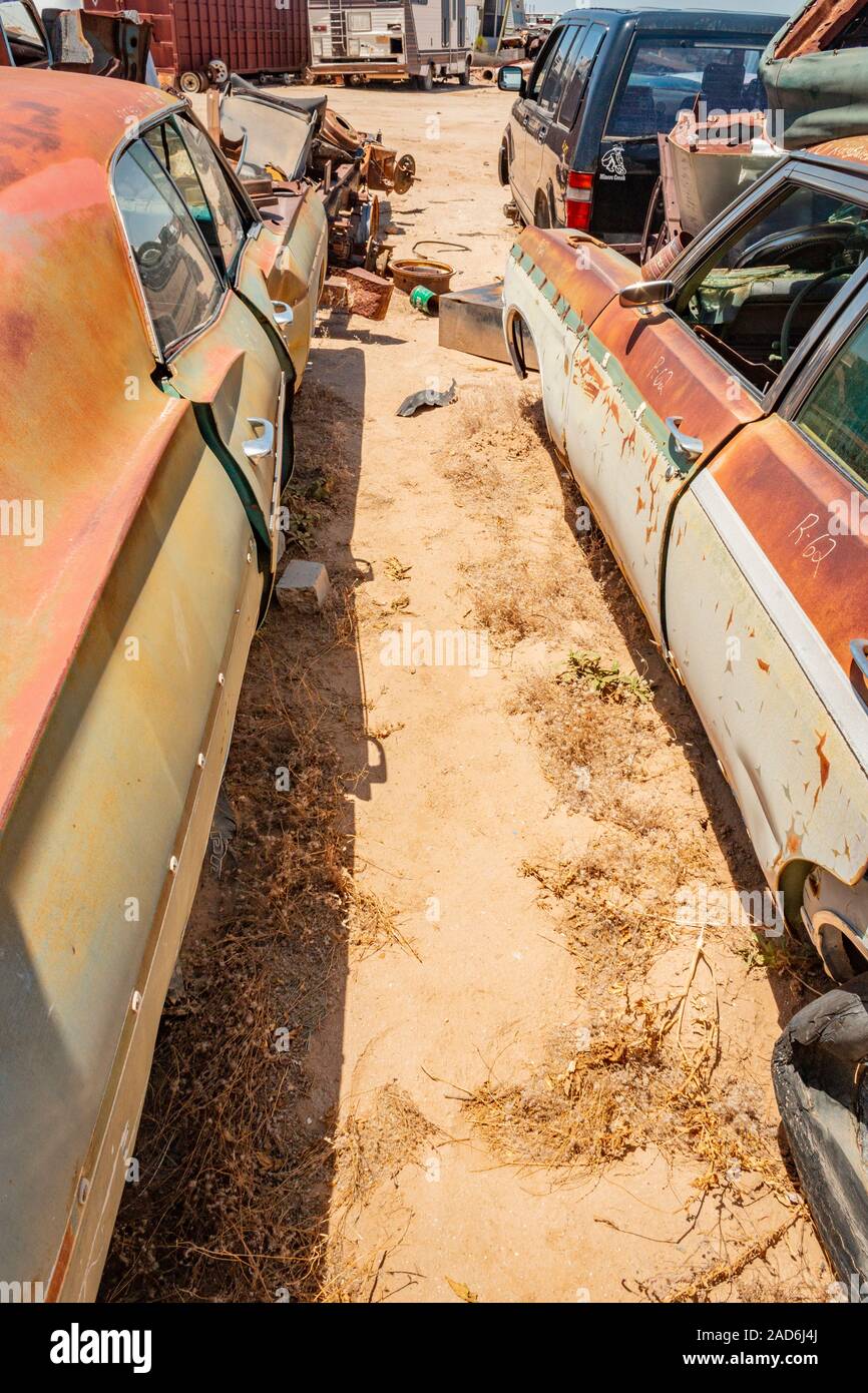 rusty old cars and trucks in a junk yard in the desert in Phoenix ...