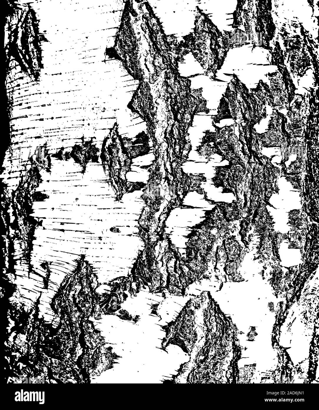 Bark of birch in the cracks texture. Vector illustration Stock Vector ...