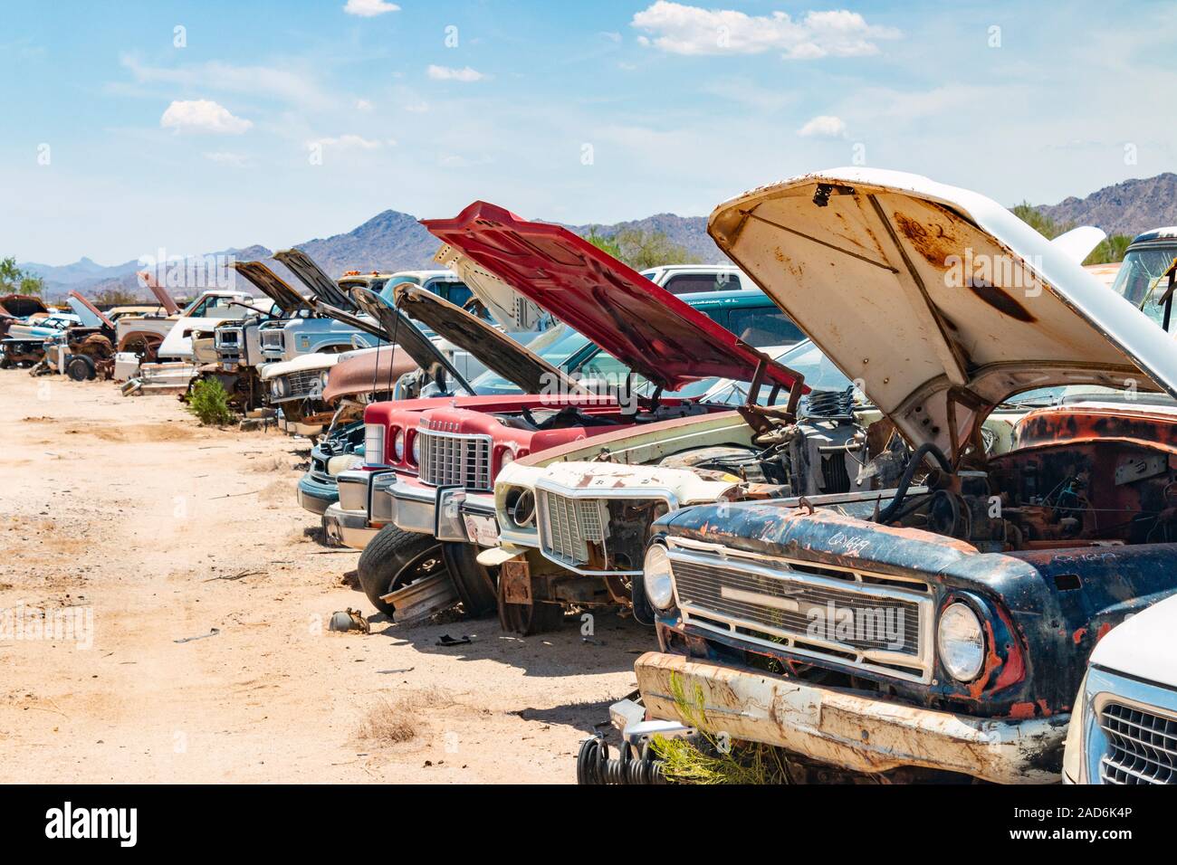rusty old cars and trucks in a junk yard in the desert in Phoenix ...