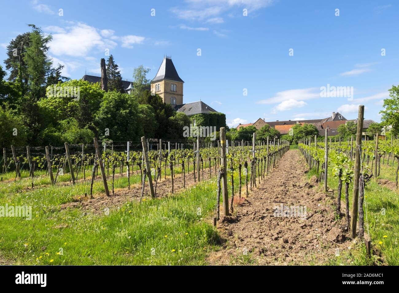 Edesheim hi-res stock photography and images - Alamy
