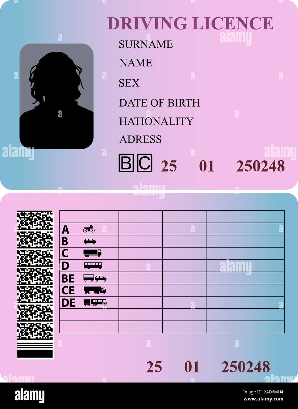Driving license woman. Vector illustration Stock Vector Image & Art - Alamy
