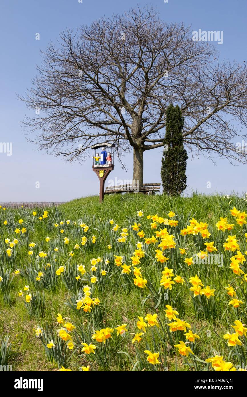 Mutterle hi-res stock photography and images - Alamy