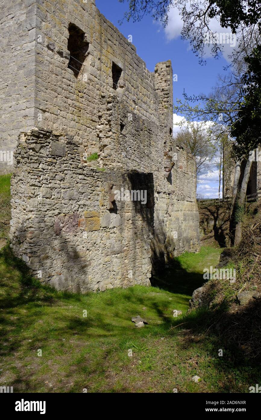 Homburg castle ruin and nature reserve ruin homburg hi-res stock ...