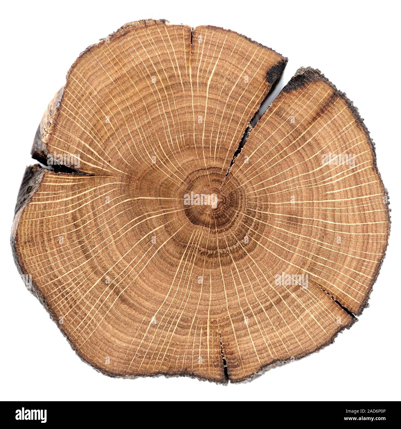 Cracked wood detail Cut Out Stock Images & Pictures - Alamy