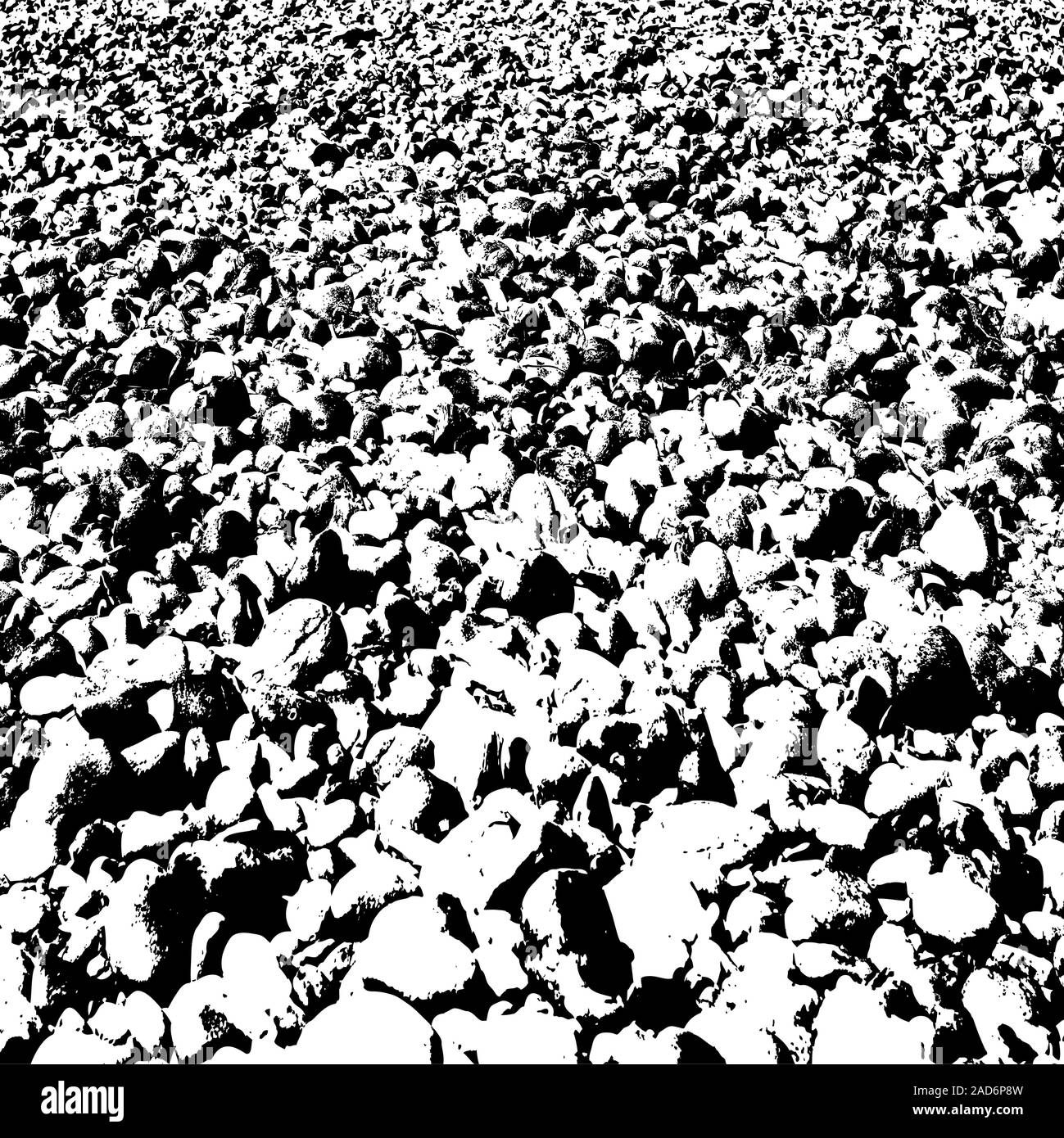 Ancient stone wall background vector illustratuin Stock Vector Image ...