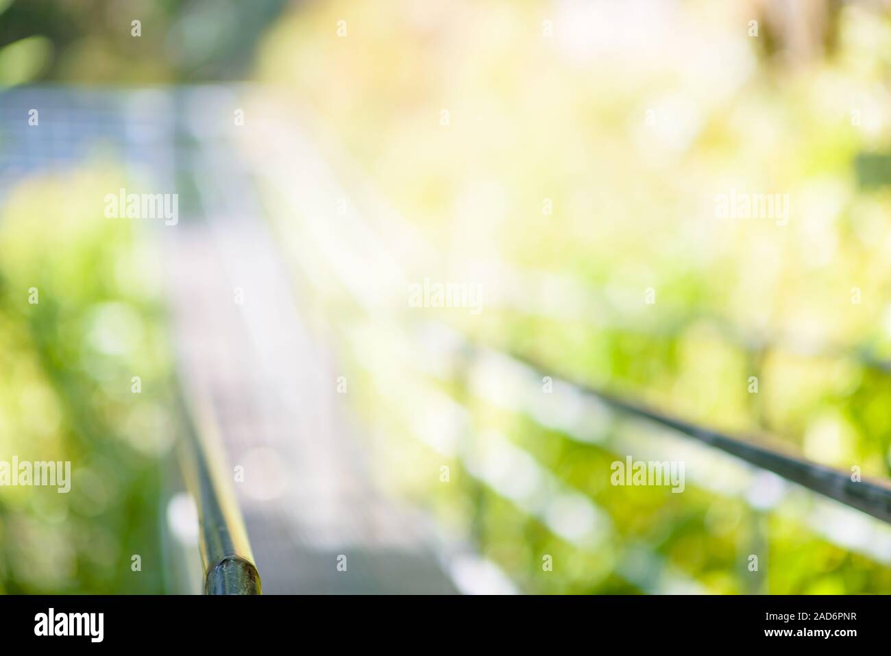 Steel suspension footbridge in hi-res stock photography and images - Alamy