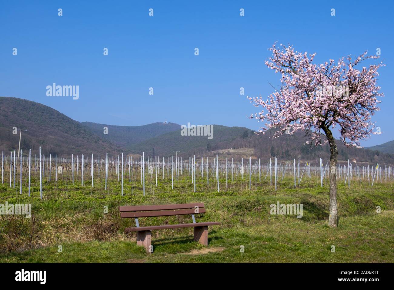 Spring pfa hi-res stock photography and images - Alamy