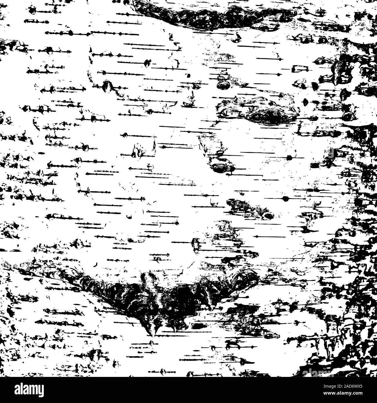 bark of birch in the cracks texture. Vector illustration Stock Vector ...