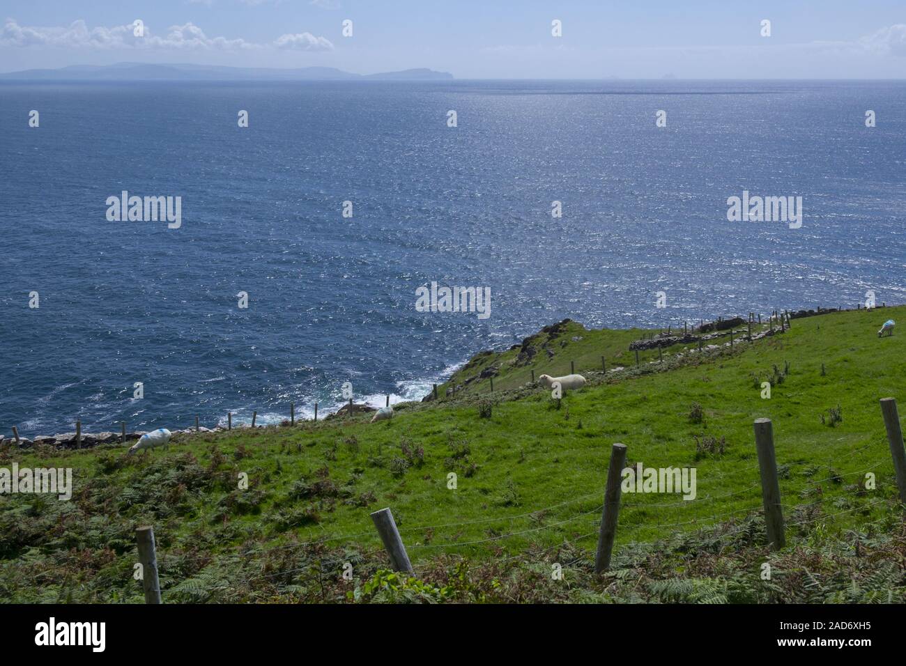 Dingle and landscape hi-res stock photography and images - Alamy