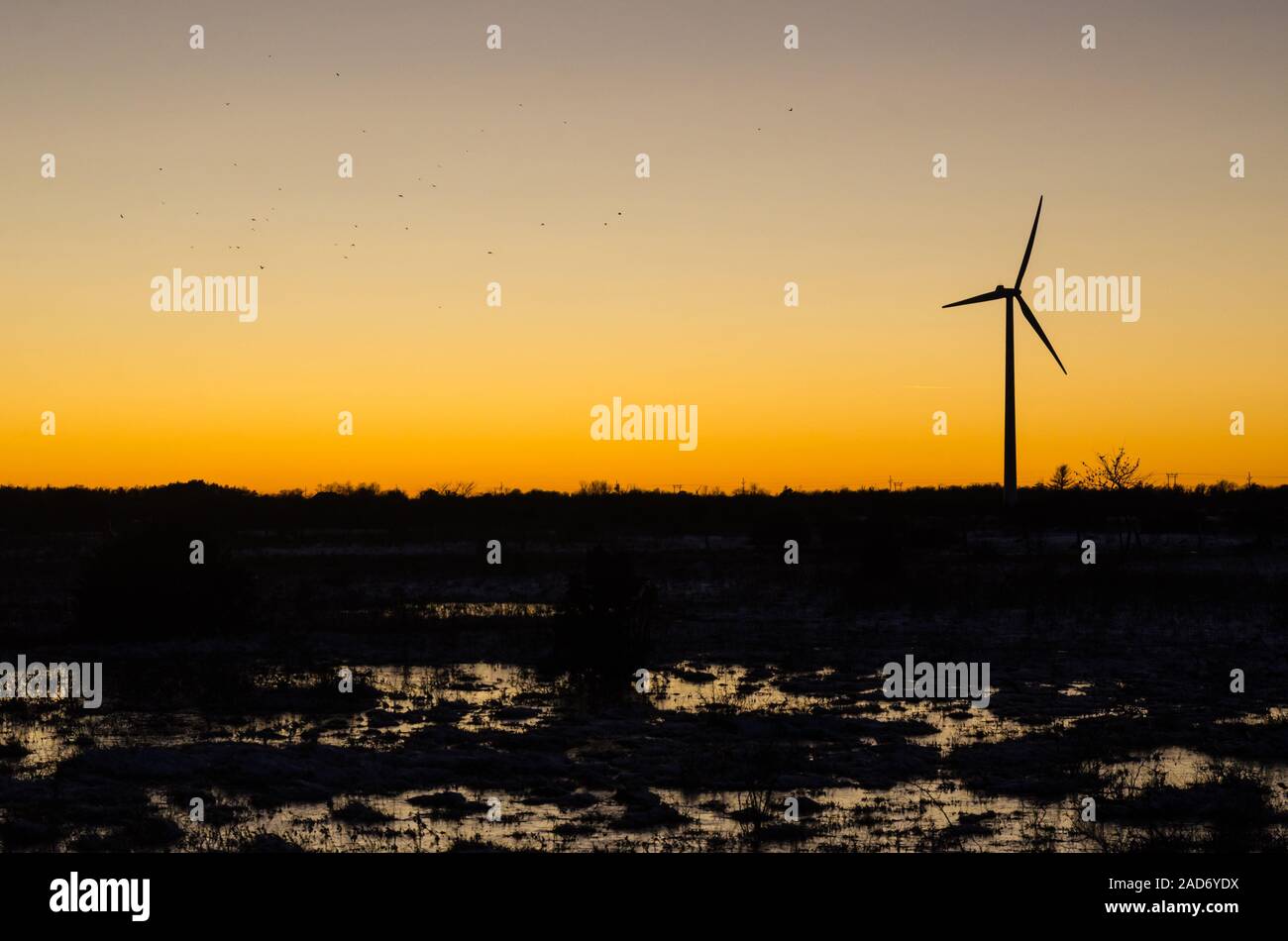 Sunset with wind turbine and flying birds in a plain landscape Stock ...
