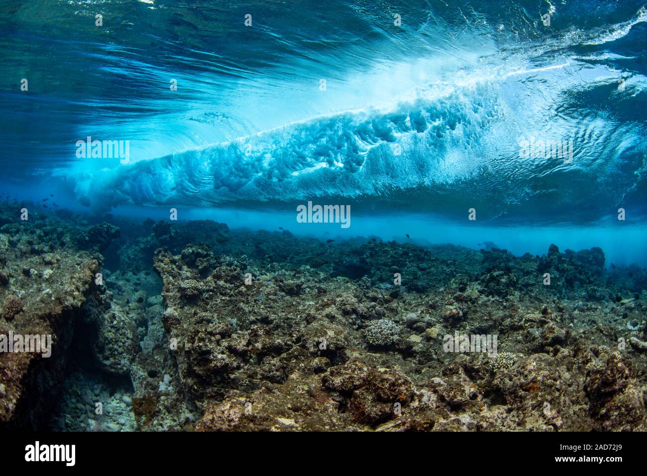 Mantaraybay hi-res stock photography and images - Alamy