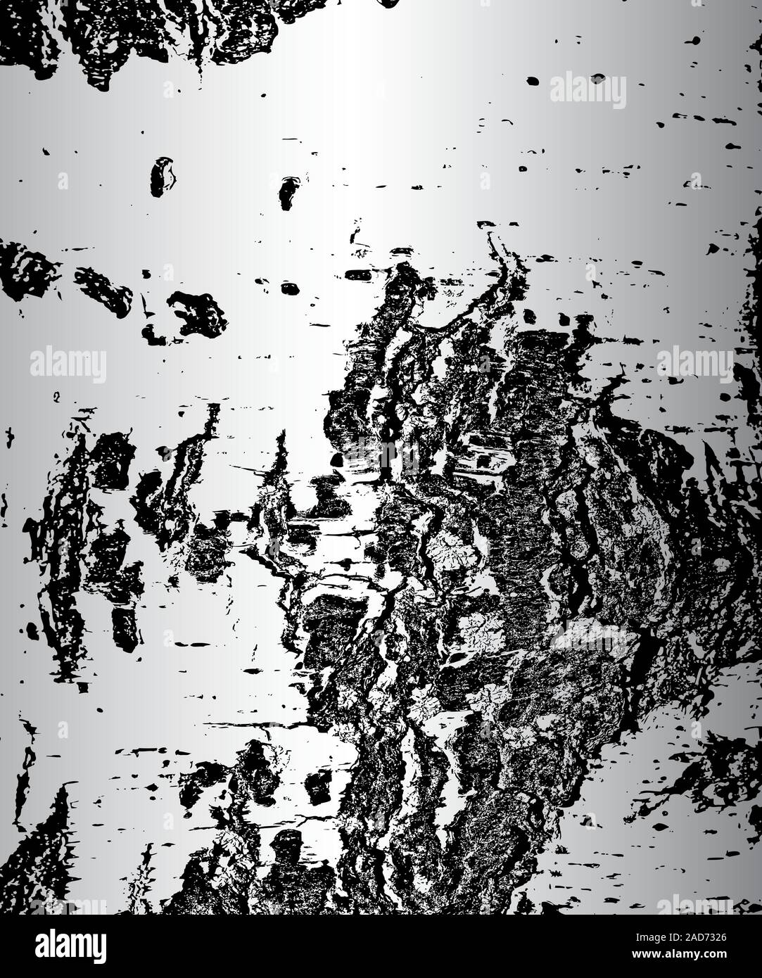 Bark of birch in the cracks texture. Vector illustration Stock Vector ...