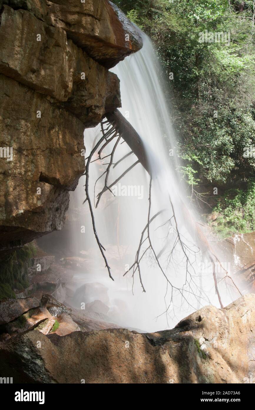 Douglas falls west virginia hi-res stock photography and images - Alamy