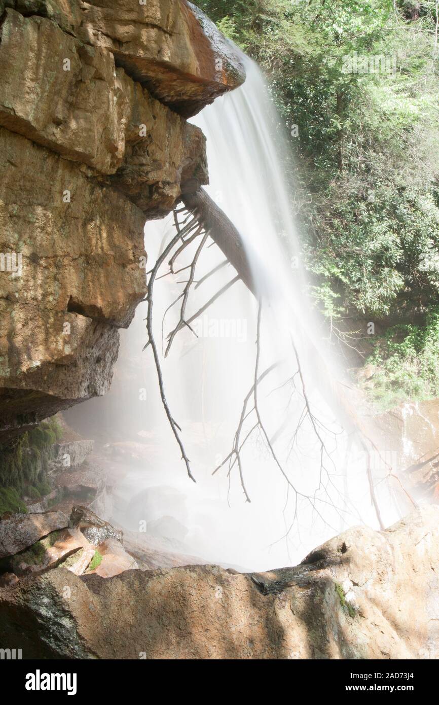 Douglas falls west virginia hi-res stock photography and images - Alamy