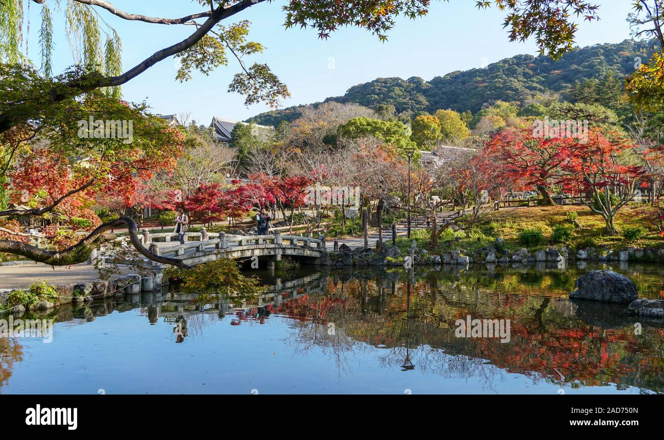 Maruyama Park in Kyoto during the momiji fall foliage season Stock ...