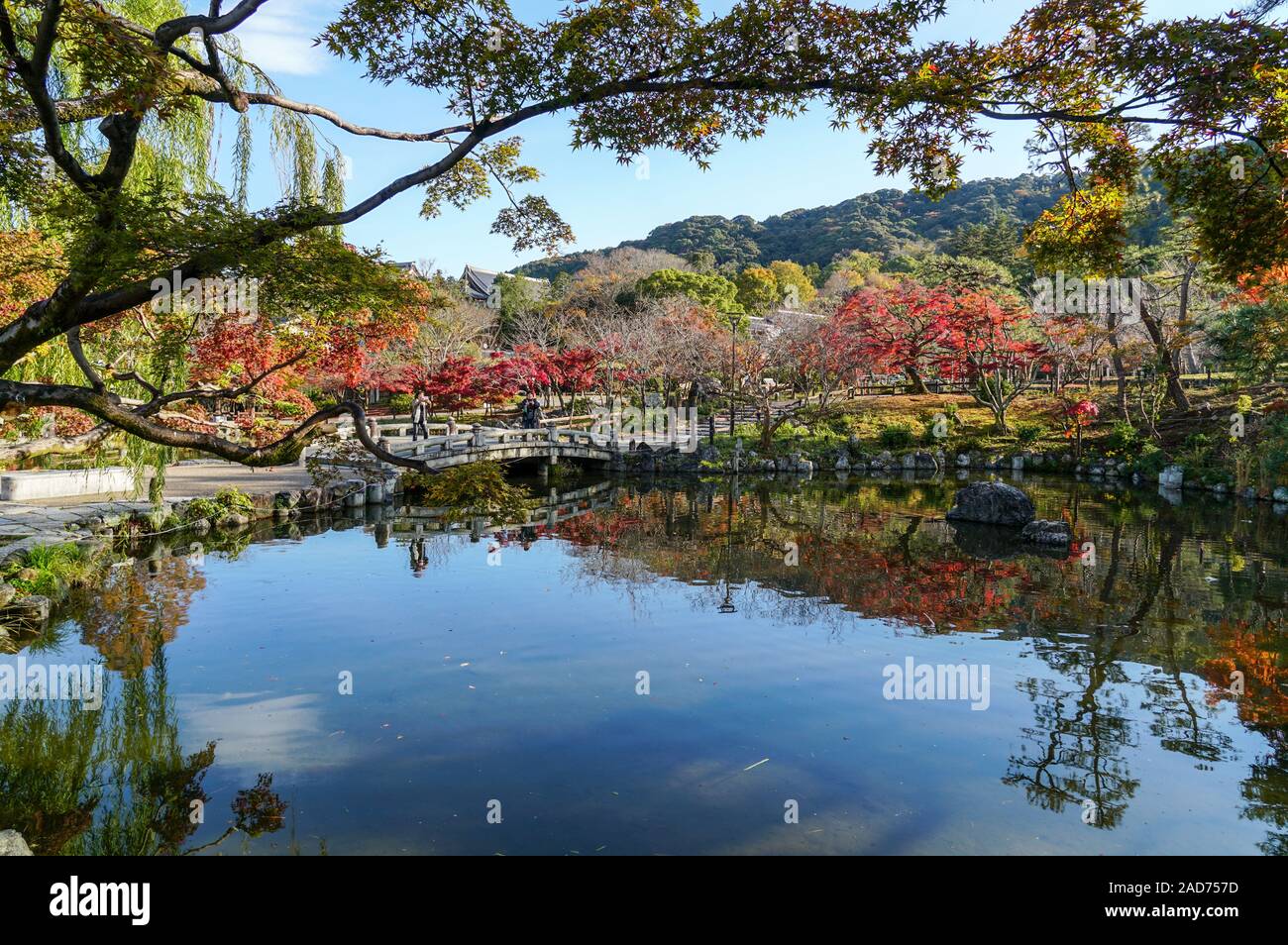 Maruyama Park in Kyoto during the momiji fall foliage season Stock ...