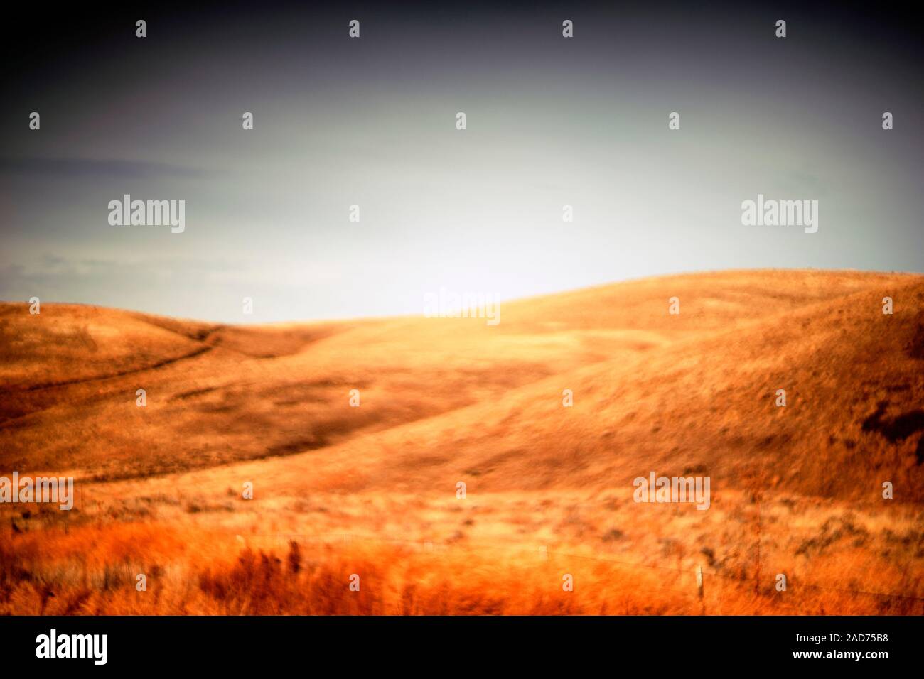 Rolling Hillside, Painterly Effect Stock Photo - Alamy