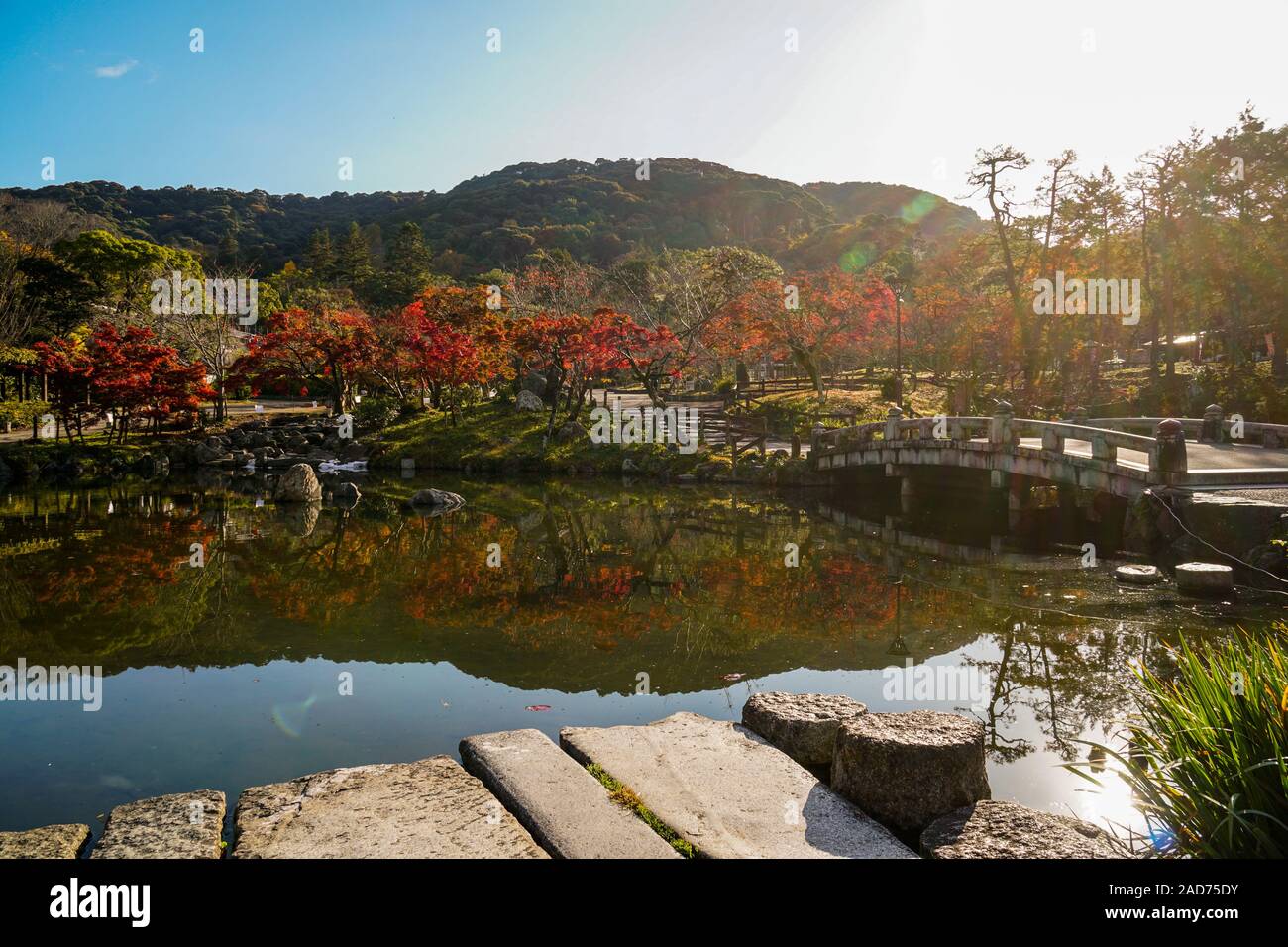 Maruyama Park in Kyoto during the momiji fall foliage season Stock ...