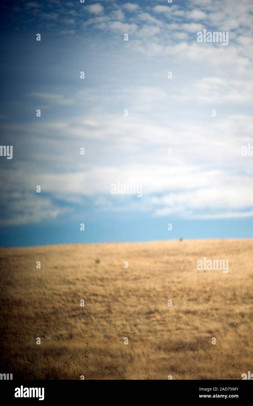 Rural Plains Landscape Stock Photo - Alamy