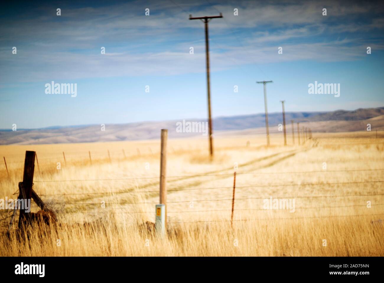 Utility Poles through Rural Landscape Stock Photo - Alamy