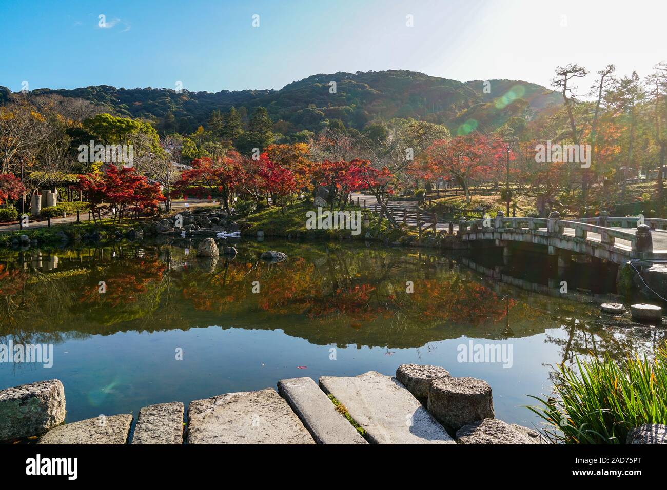 Maruyama Park in Kyoto during the momiji fall foliage season Stock ...