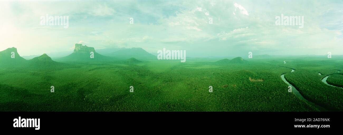 Aerial view of misty jungle, Autana Tepuy, Venezuela Stock Photo - Alamy