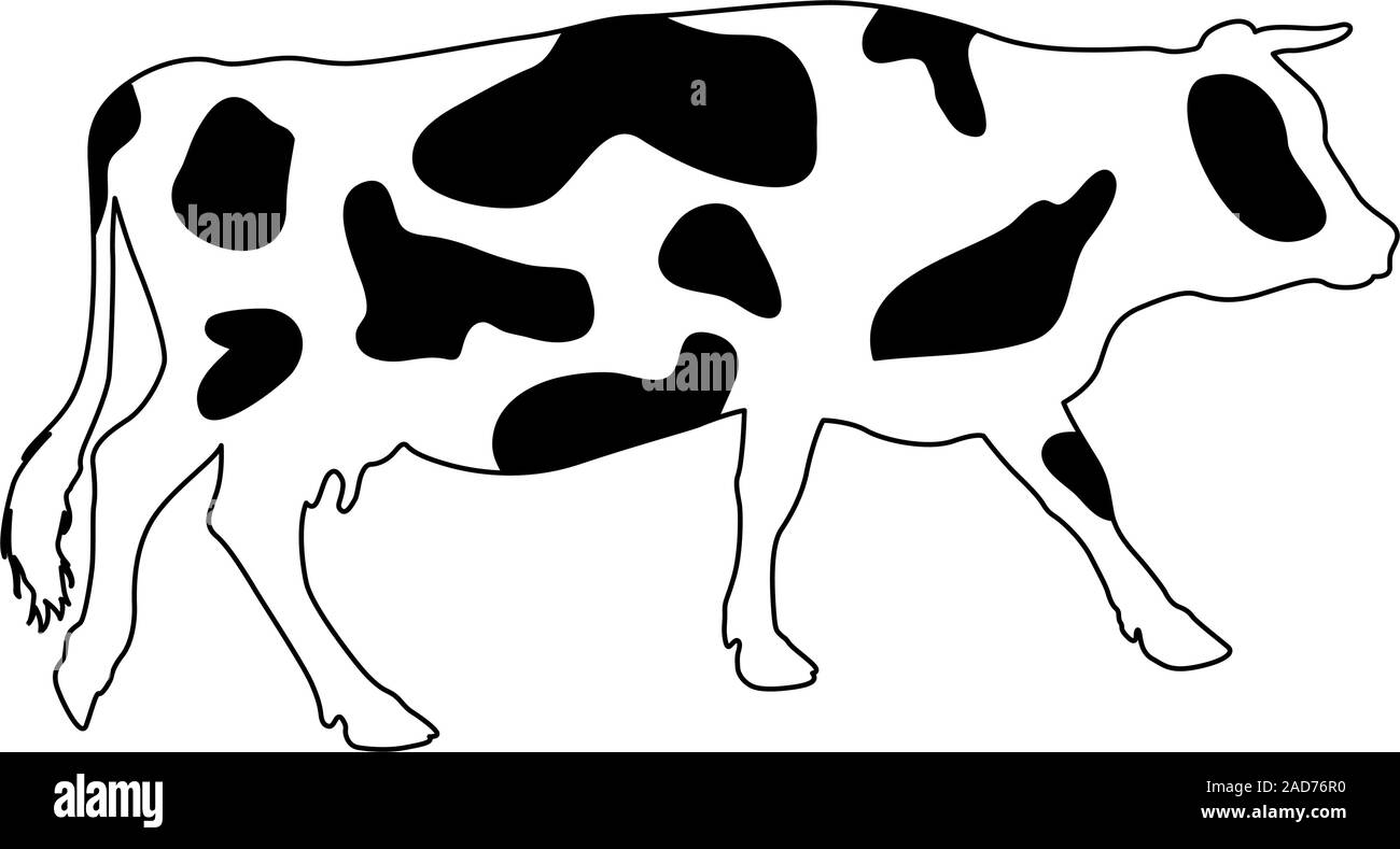 Silhouettes of spotted cow. Vector illustration Stock Vector Image ...