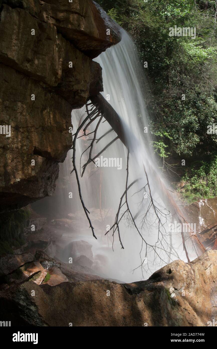 Douglas Falls, West Virginia Stock Photo - Alamy
