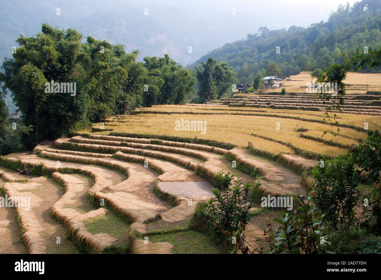 Terrace Farming Steep High Resolution Stock Photography and Images - Alamy