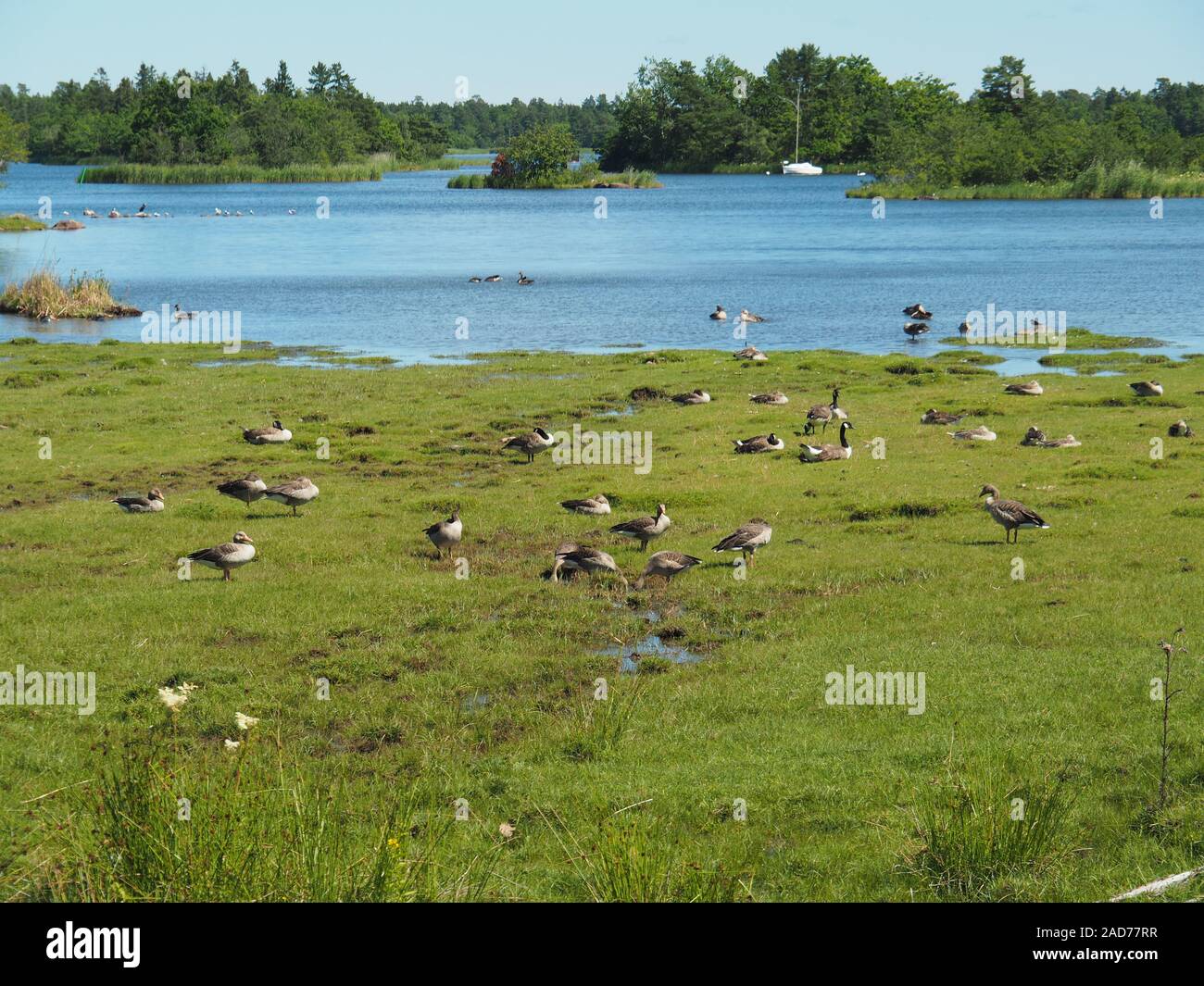 Akka von kebnekaise hi-res stock photography and images - Alamy