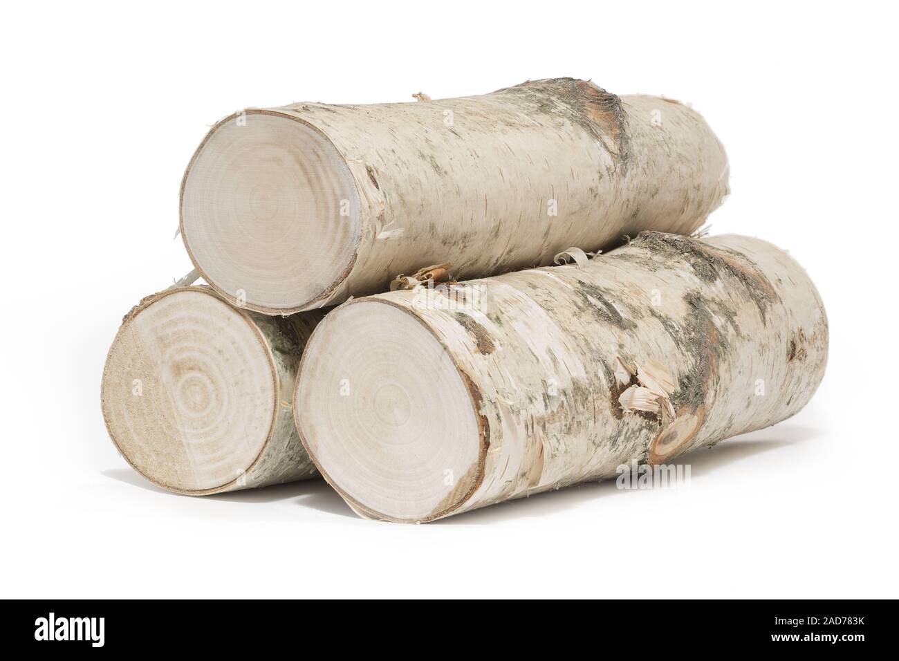 Young birch trees on Cut Out Stock Images & Pictures - Alamy