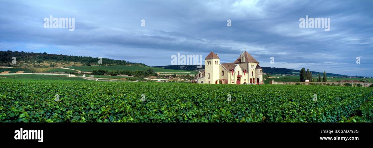 Grand Cru Vineyard, Burgundy, France Stock Photo - Alamy