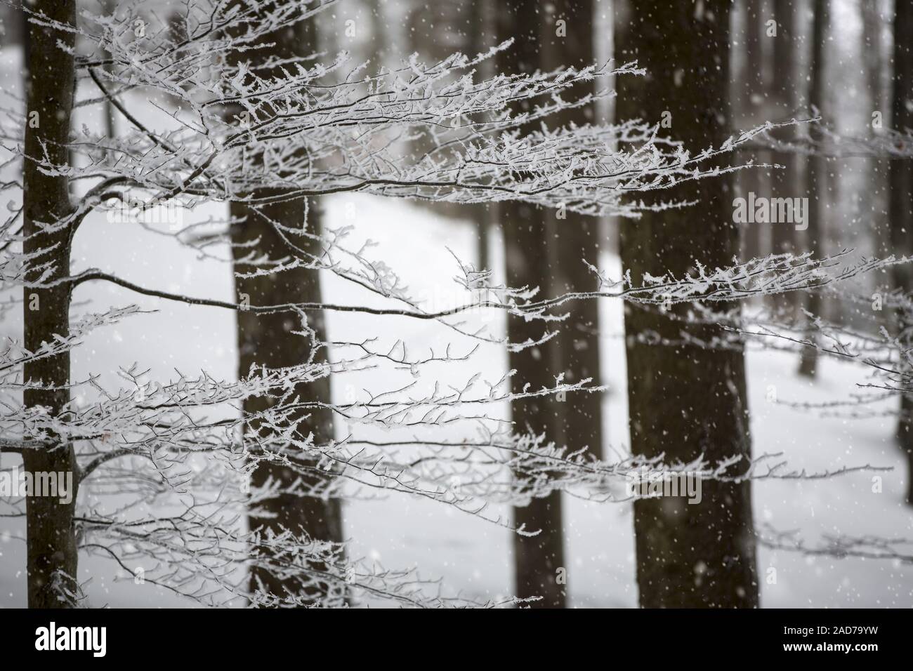 Cold bum hi-res stock photography and images - Alamy