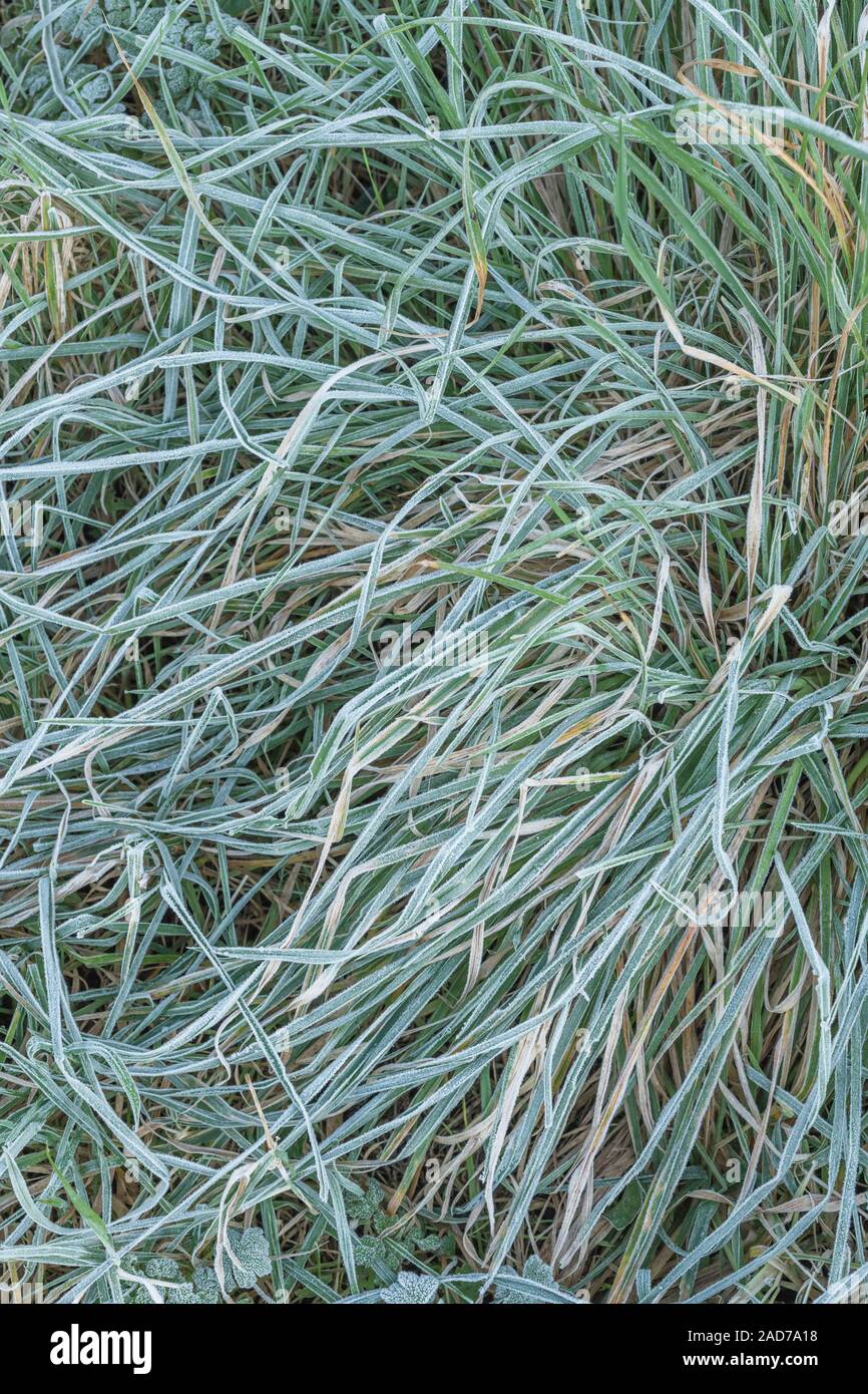 Causing blindness hi-res stock photography and images - Alamy