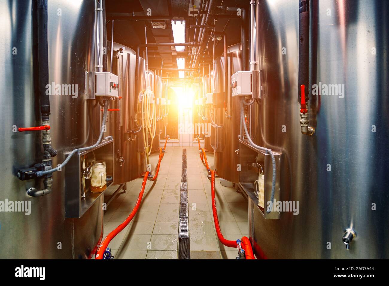 Craft beer production line in private microbrewery Stock Photo - Alamy