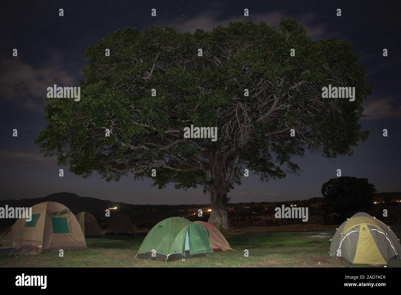 african night tents under tree Stock Photo - Alamy