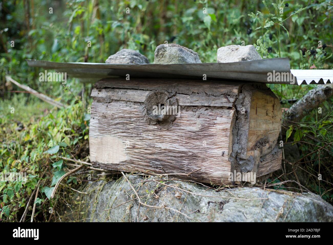 Log Hive High Resolution Stock Photography and Images - Alamy