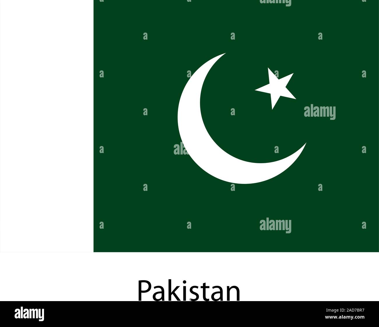 Flag of the country pakistan. Vector illustration. Exact colors Stock ...