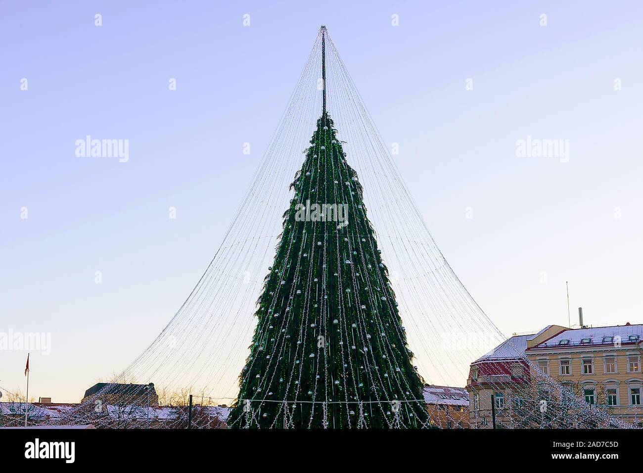 Christmas tree in Lithuania Vilnius Advent reflex Stock Photo - Alamy