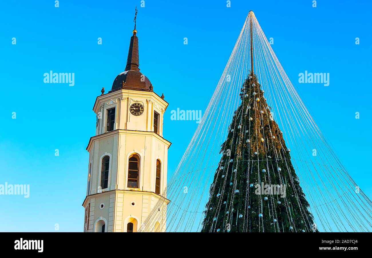 Christmas tree and Cathedral bell tower Vilnius in Lithuania Advent ...