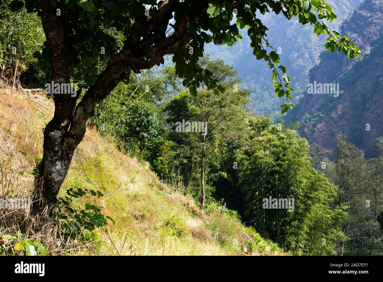 Mountain landscape around Phembu,Taplejung District, Nepal Stock Photo ...