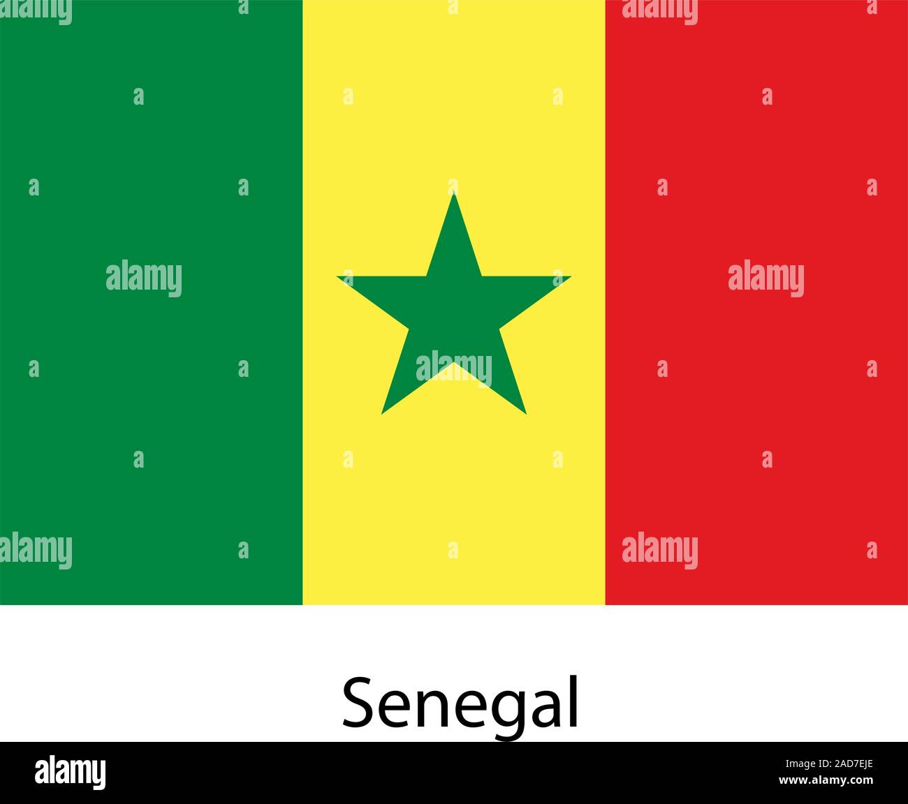 Flag of the country Senegal. Vector illustration. Exact colors Stock ...