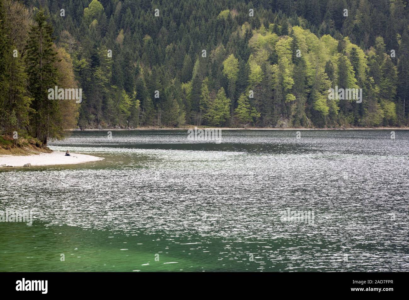 Spring at the Eibsee, Bavaria Stock Photo - Alamy