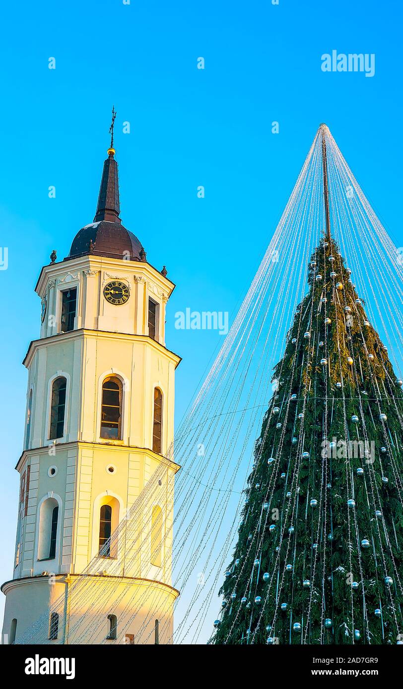 Christmas tree and Cathedral bell tower Vilnius of Lithuania Advent ...