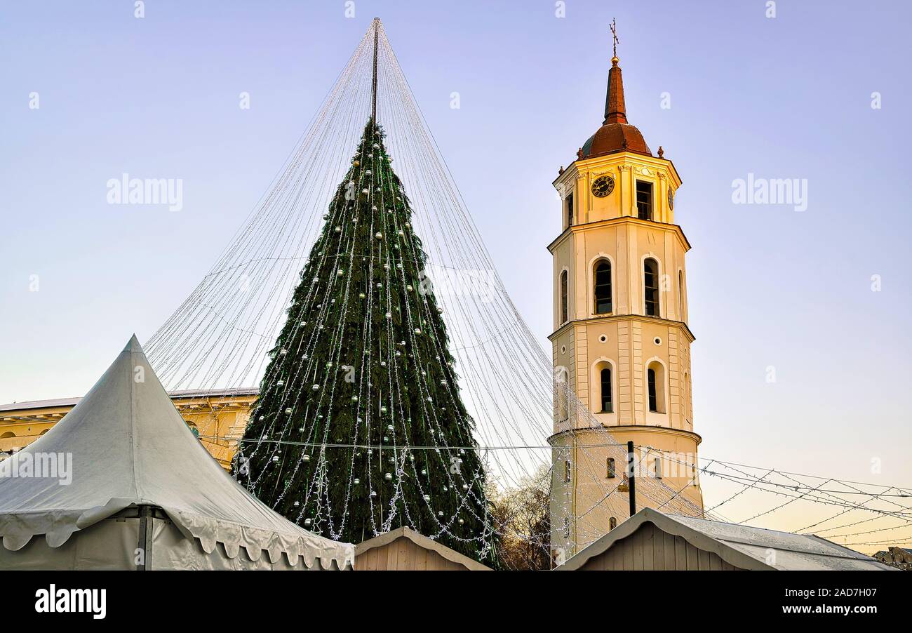 Christmas tree and Cathedral bell tower Vilnius Lithuania before Xmas ...