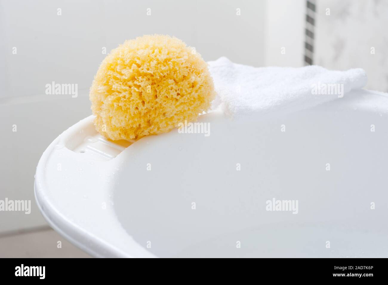 baby bathing concept, closeup at natural sea sponge (bath sponge Stock ...