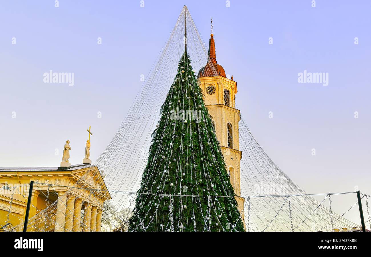 Christmas tree and Cathedral bell tower Vilnius before Xmas reflex ...